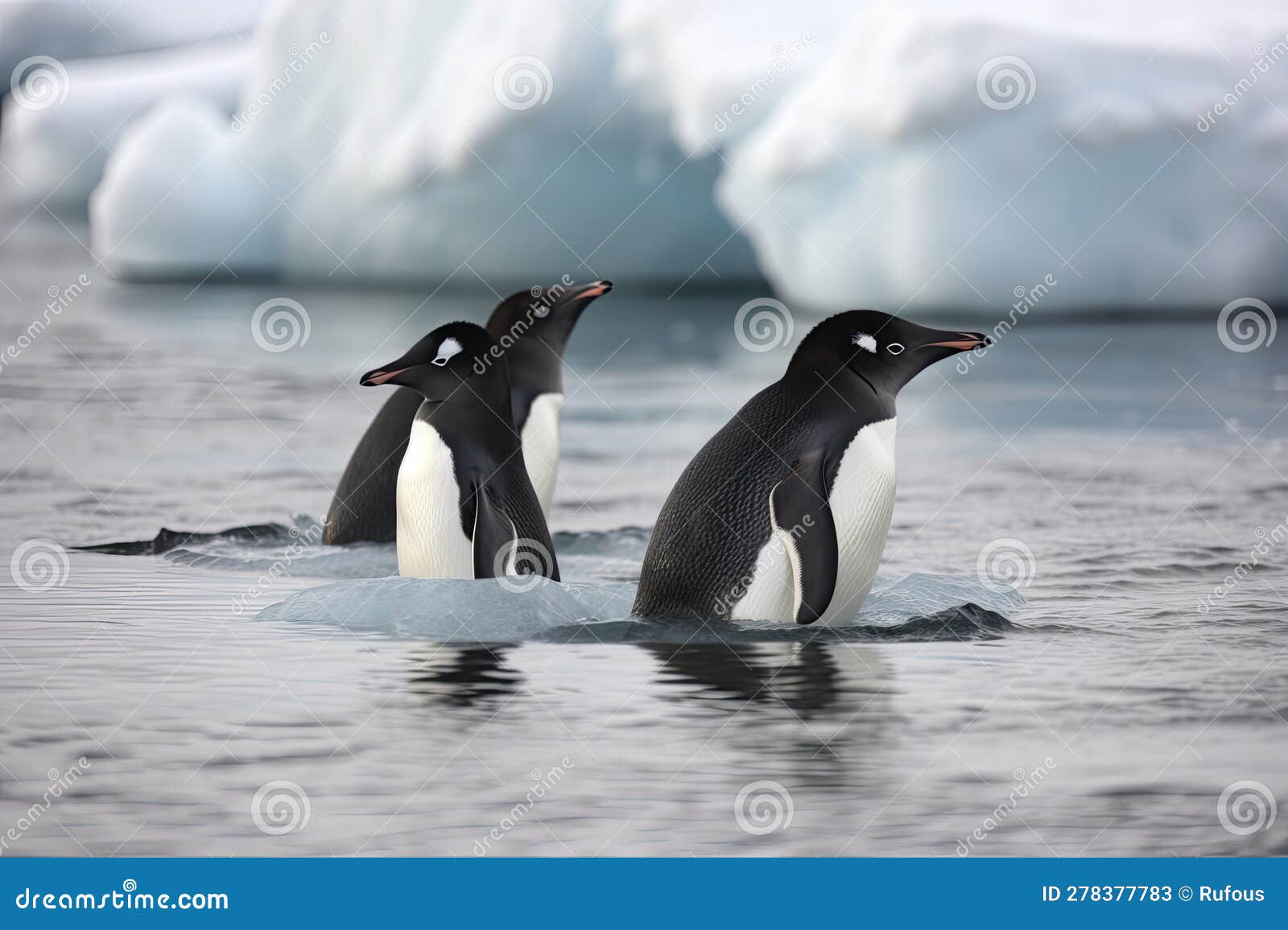 Penguins floating on ice stock illustration. Illustration of nature ...