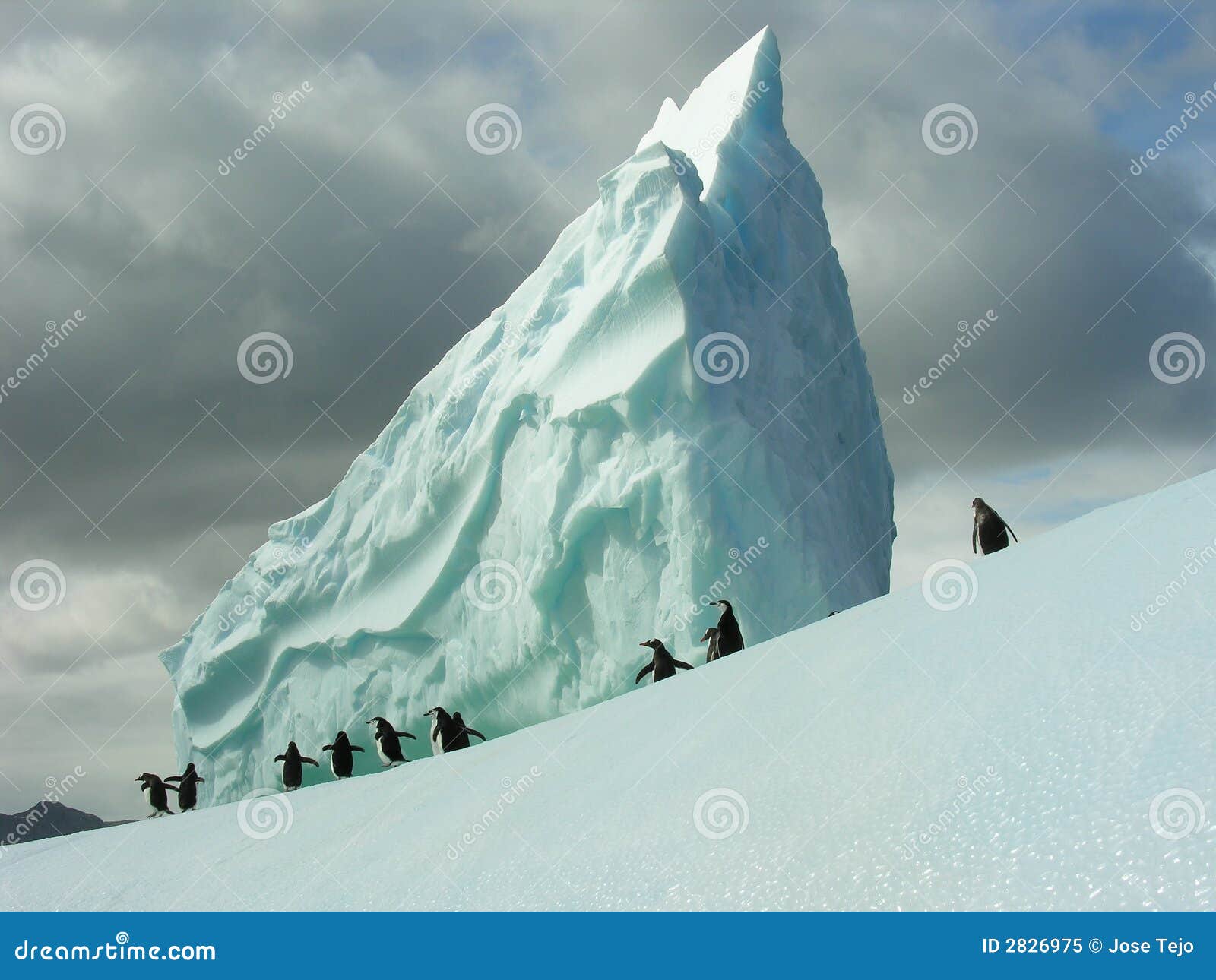 Penguins on iceberg stock image. Image of snow, sealife - 2826975