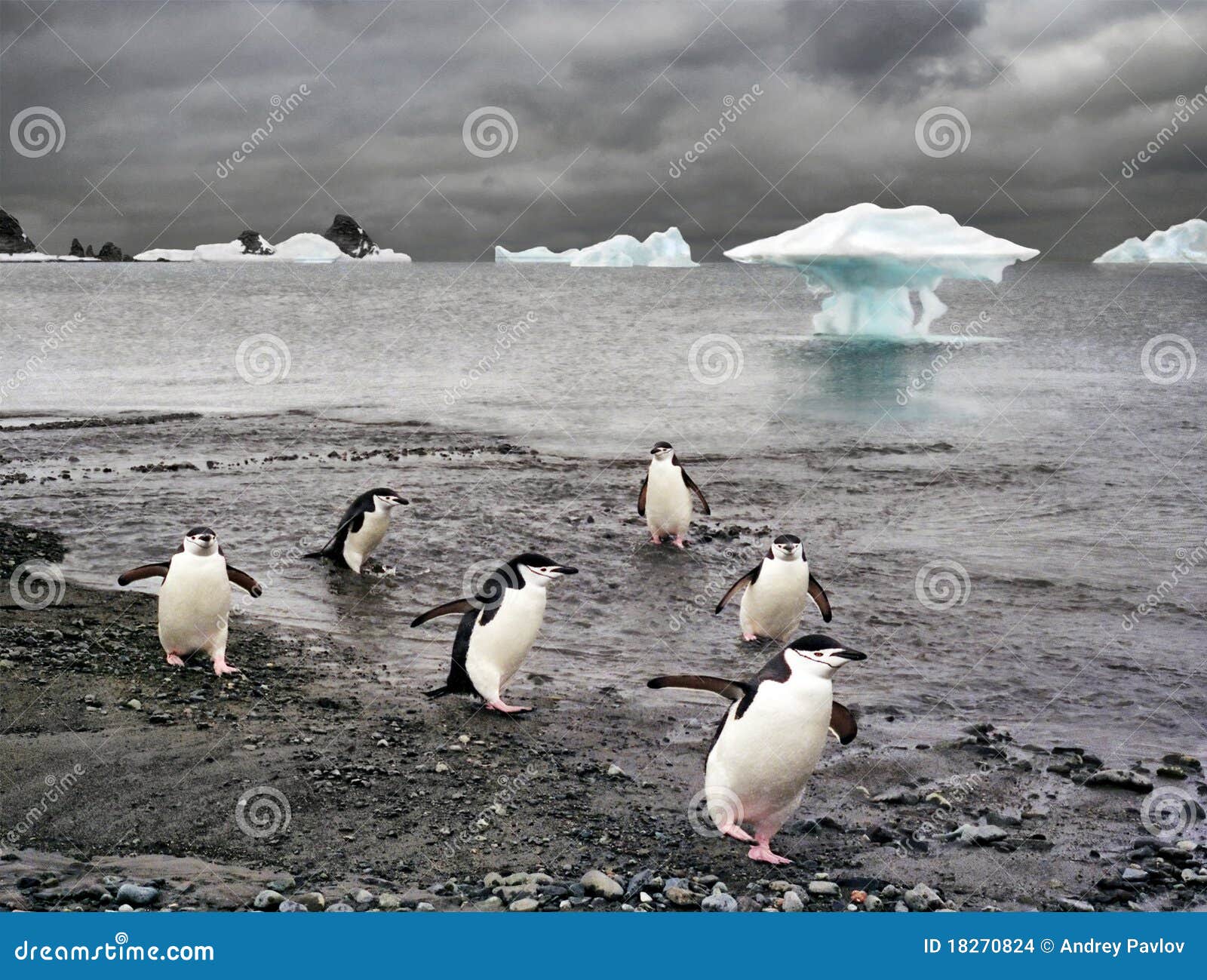 Penguins On Melting Iceberg Royalty-Free Stock Photo | CartoonDealer ...