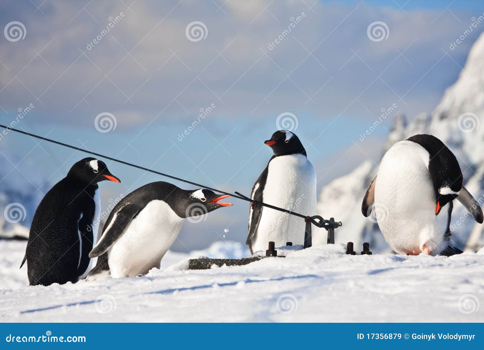 Penguins on a rock stock image. Image of landscape, iceberg - 17356879