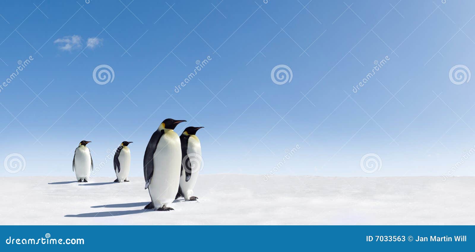 Penguins on Snowy Landscape Stock Image - Image of wintry, group: 7033563