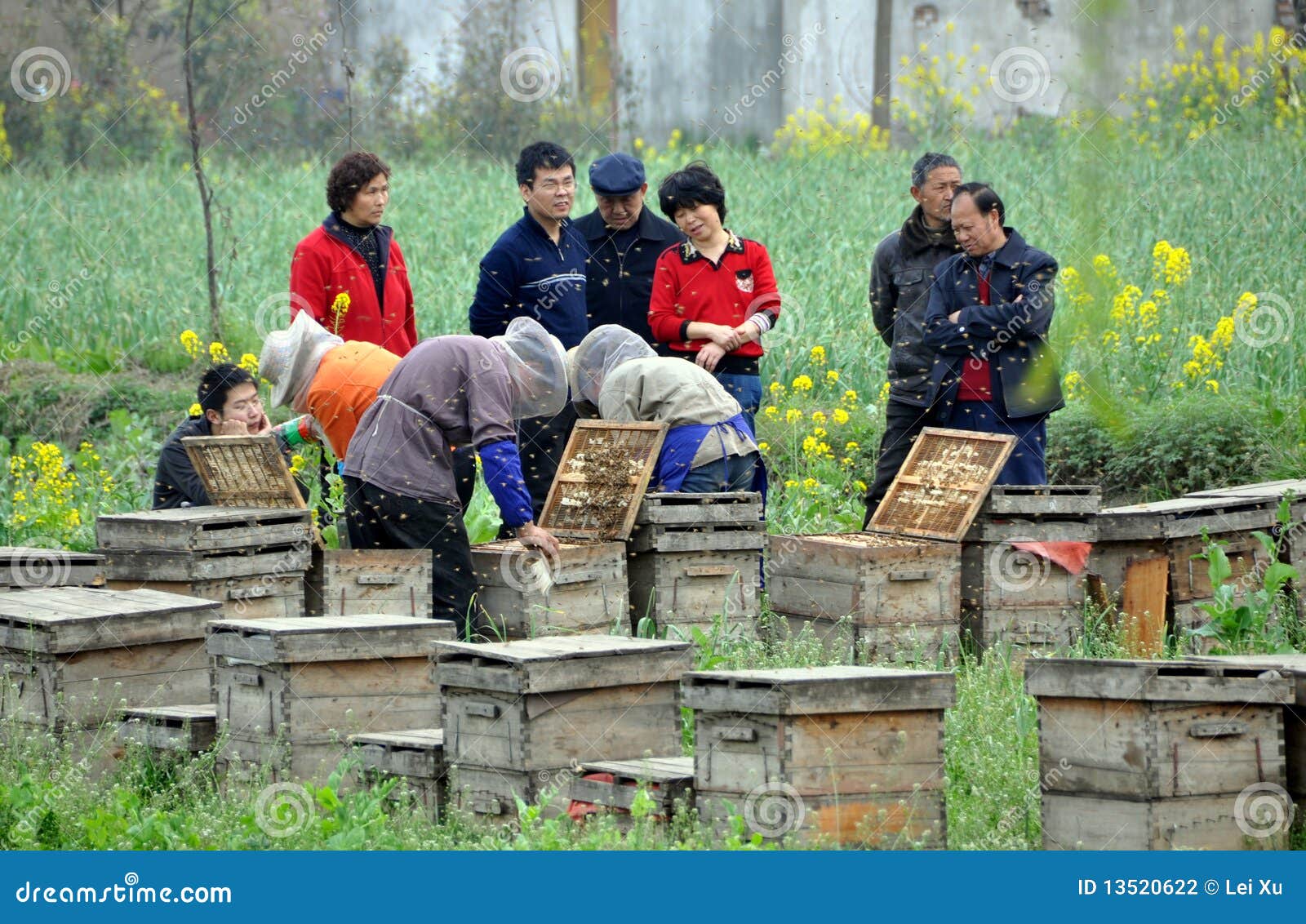 Pengzhou, China: Beekeepers and Hives Editorial Photography - Image of ...