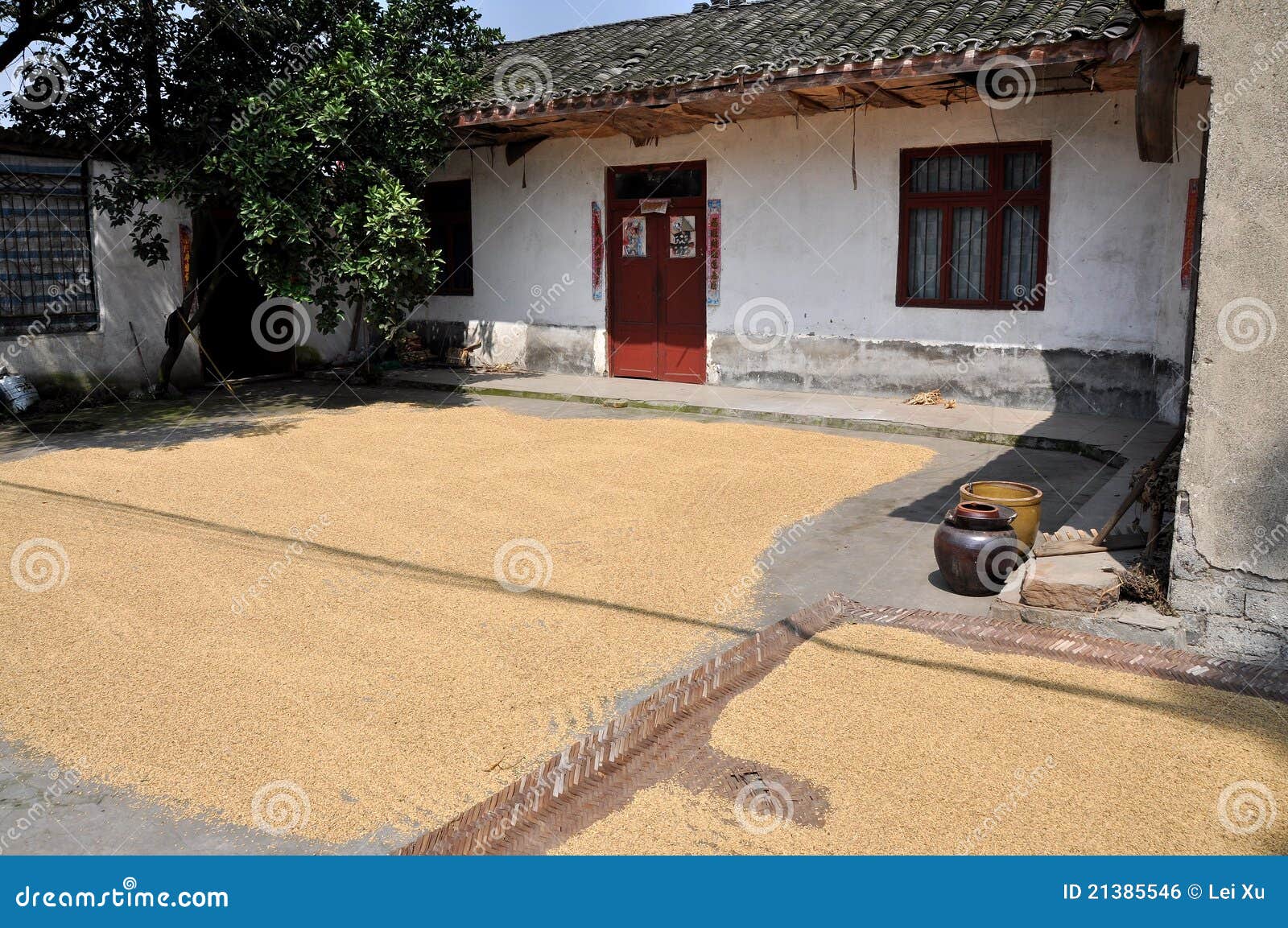 Pengzhou, China: Drying Rice Grains Stock Photo - Image of courtyard ...