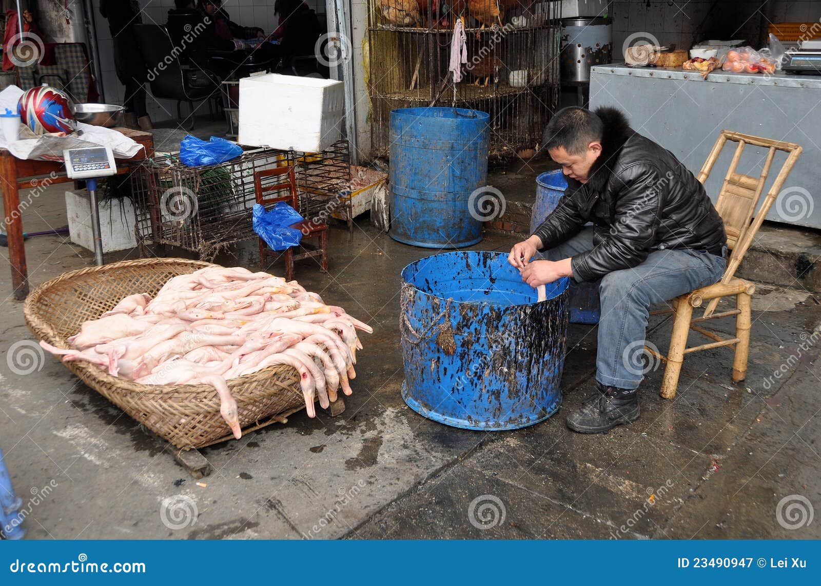Pengzhou, China: Ducks at Butcher Shop Editorial Photography - Image of ...