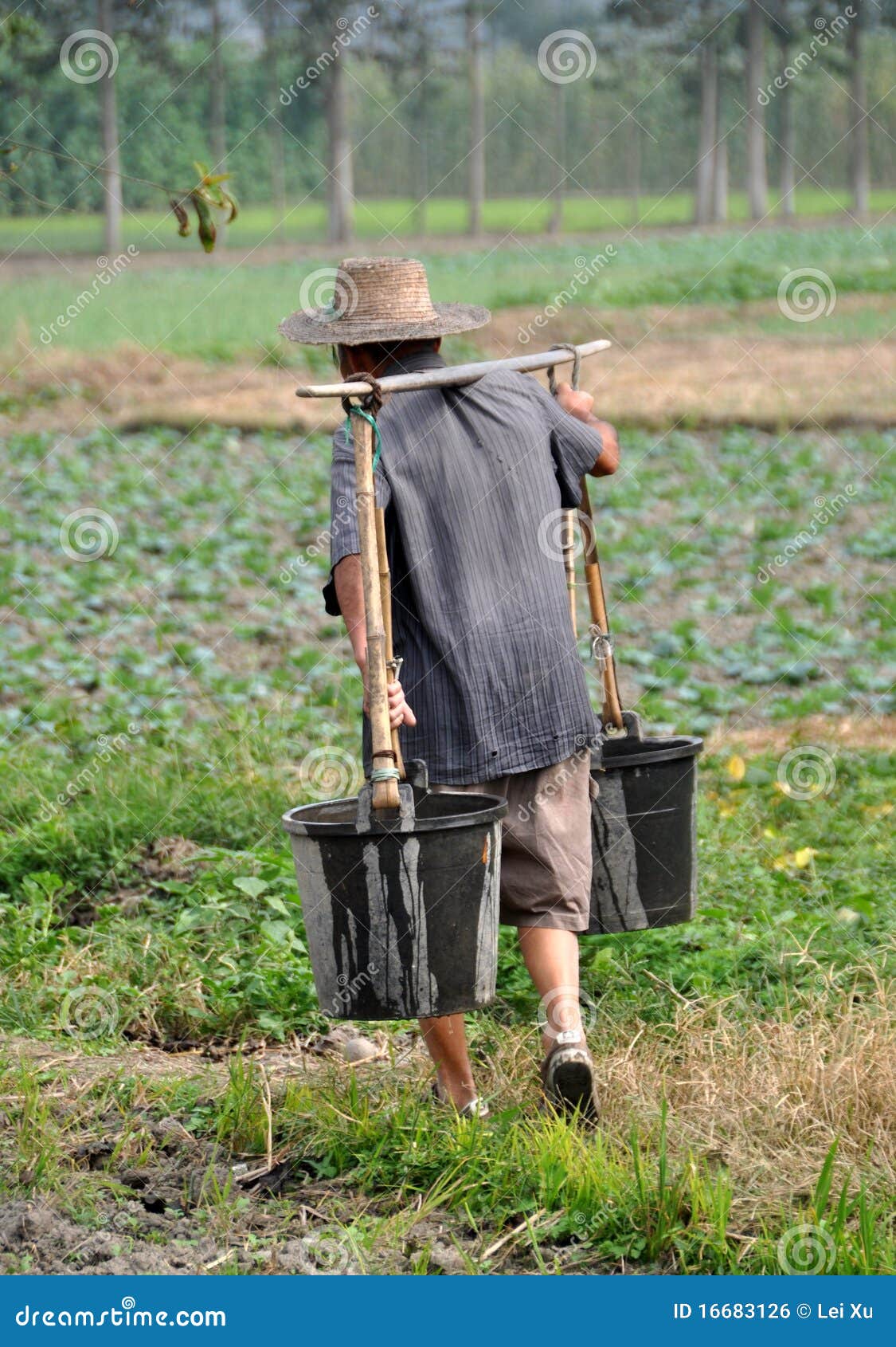 Pengzhou, China: Farmer with Water Buckets Editorial Photo - Image of ...