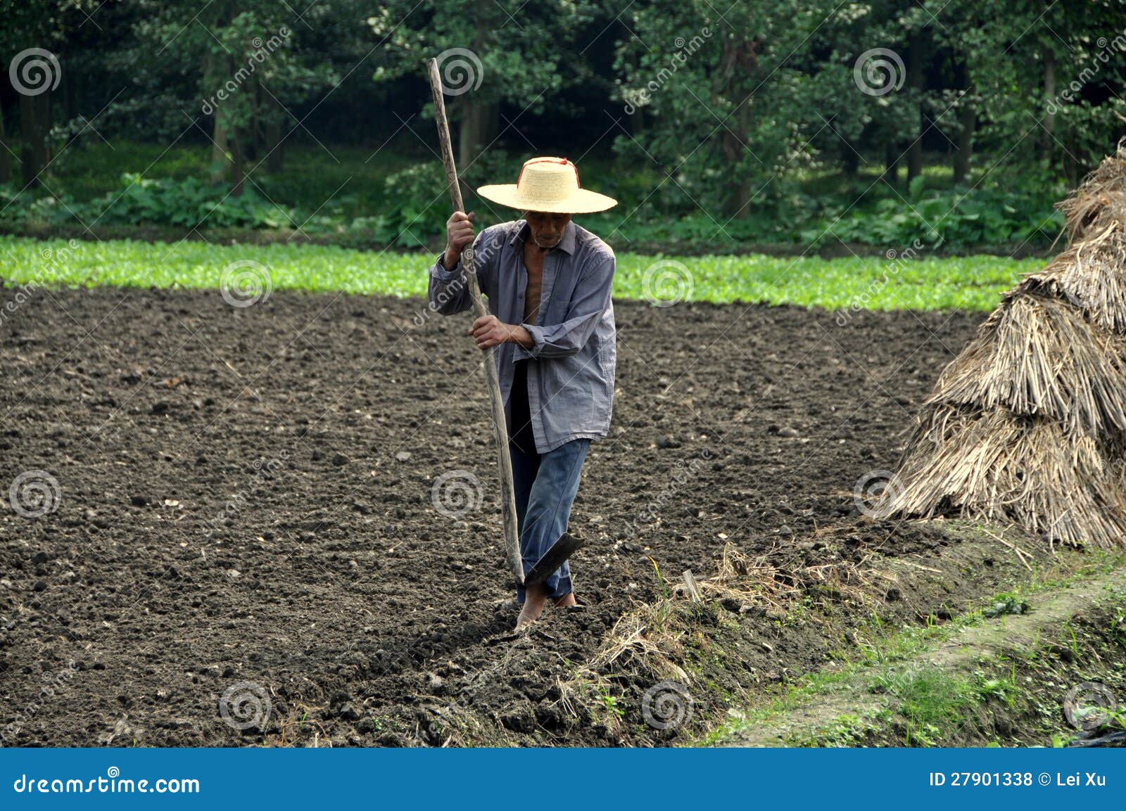 Pengzhou, China: Farmer Working His Field Editorial Stock Photo - Image ...