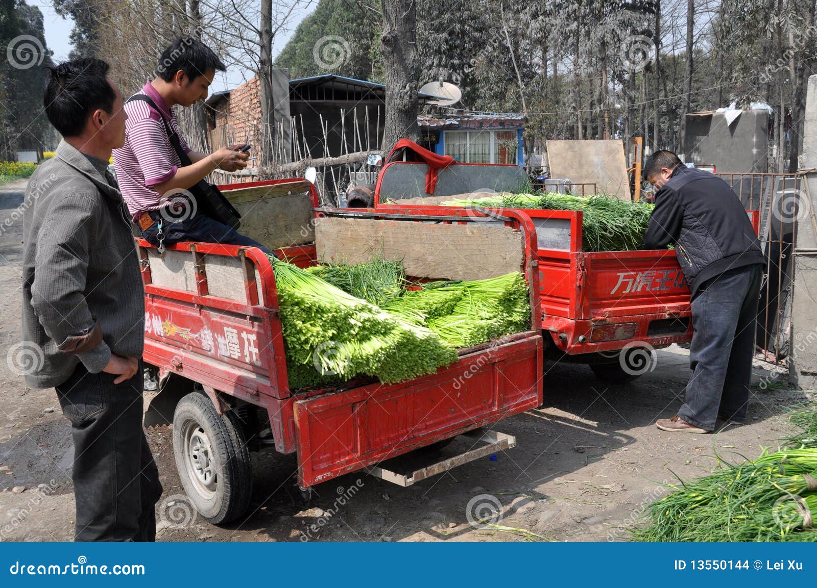 Pengzhou, China: Farmers with Garlic Editorial Stock Image - Image of ...