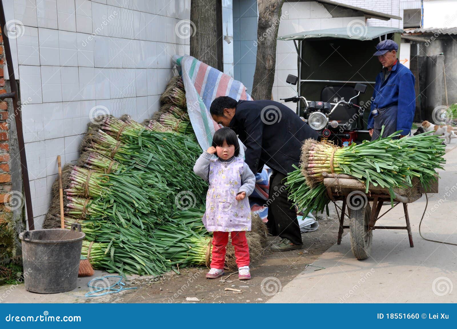 Pengzhou, China: Farmers with Garlic Editorial Image - Image of garlic ...
