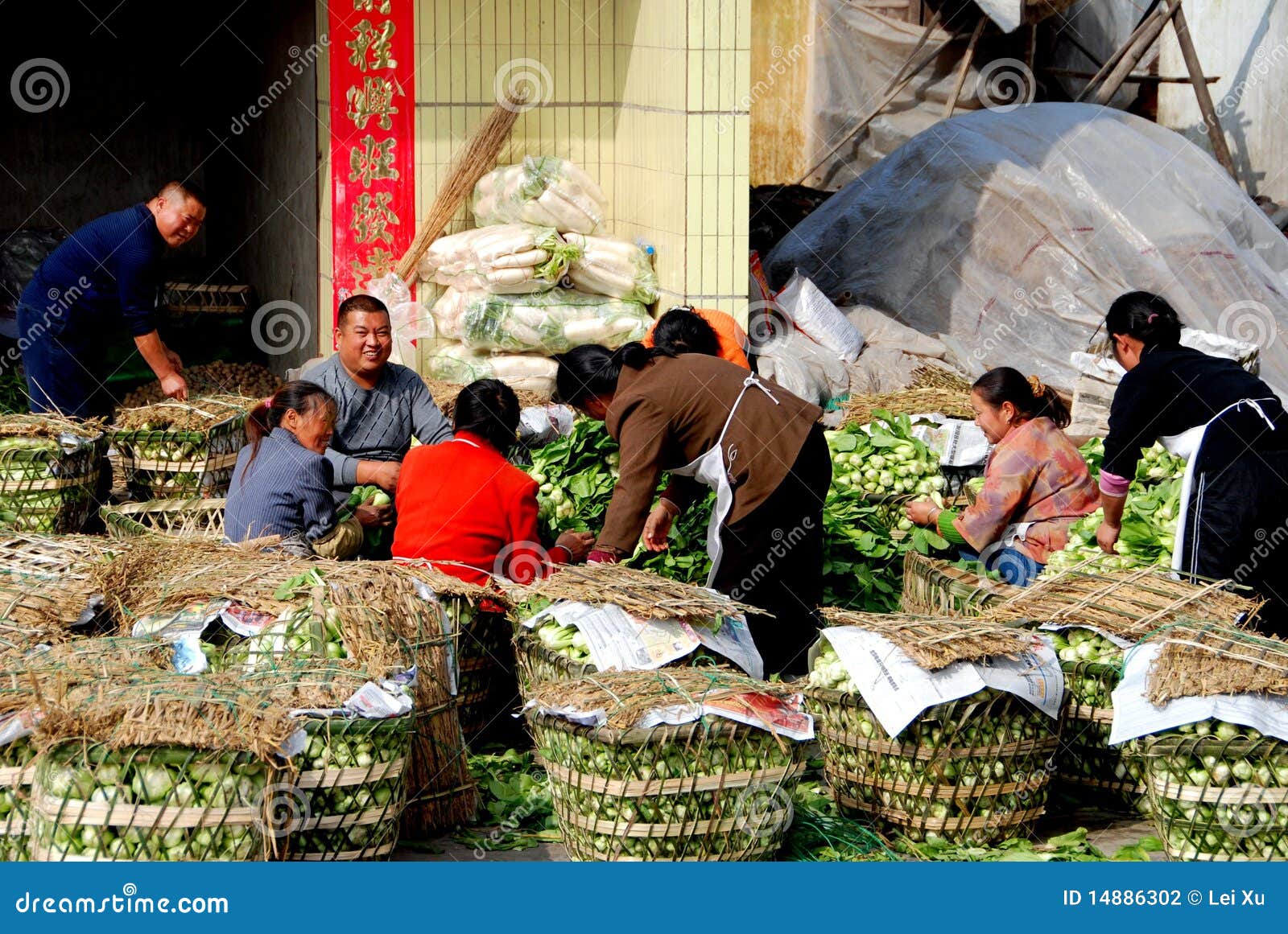 Pengzhou, China: Farmers Packing Vegetables Editorial Photography ...