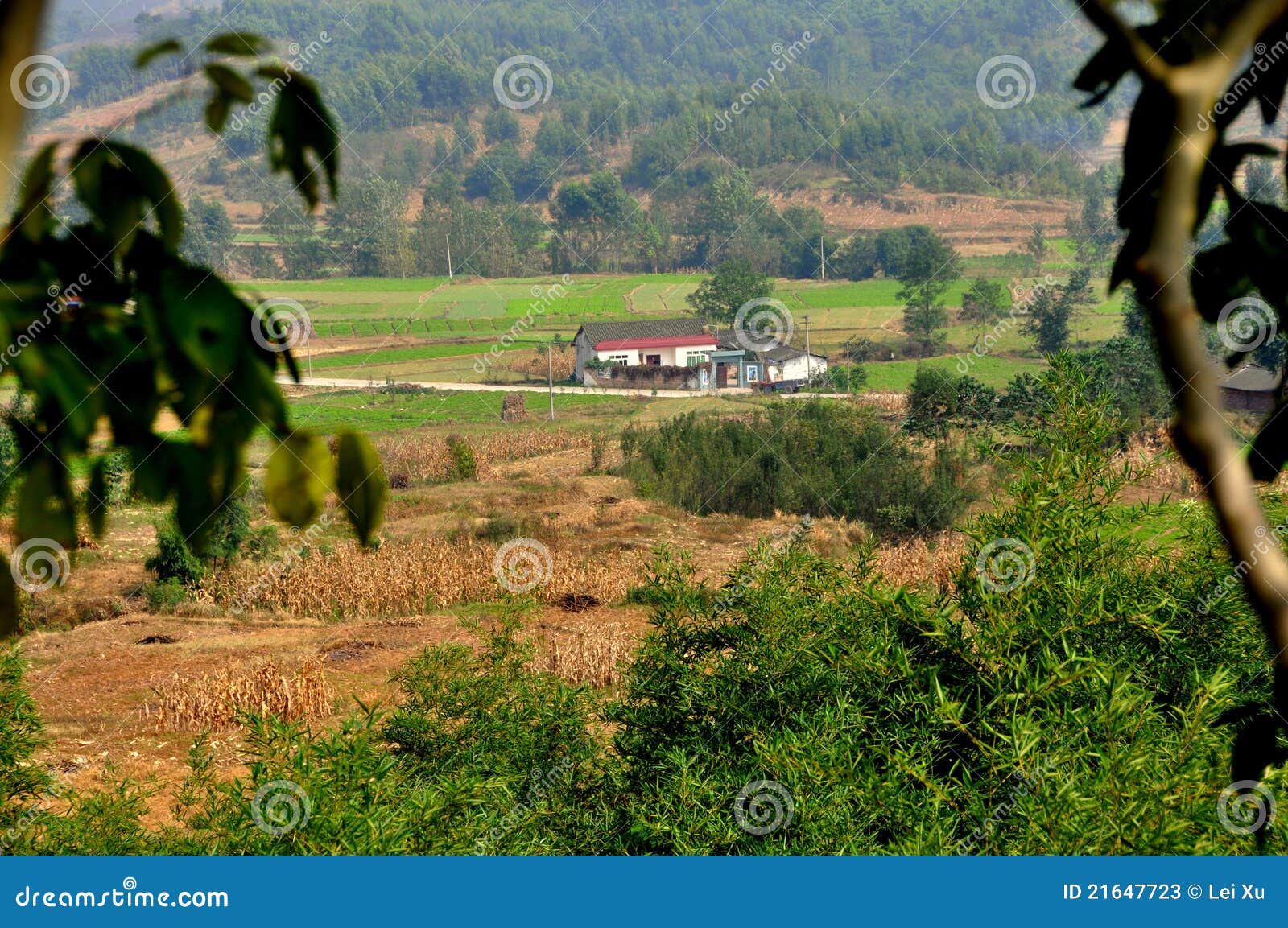 Pengzhou, China: Farmhouse and Fields Editorial Stock Photo - Image of ...