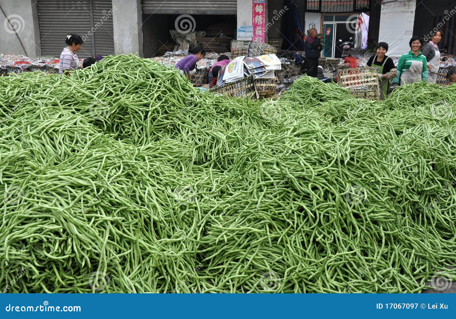 Pengzhou, China: Green Beans & Workers Editorial Photography - Image of ...
