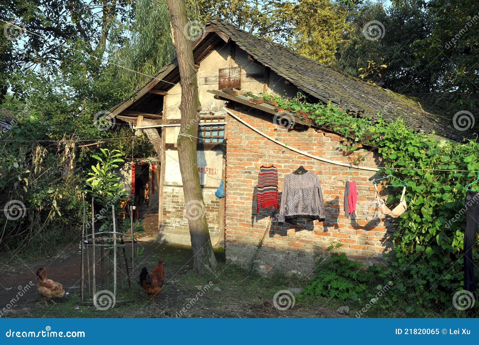 Pengzhou, China: Half-timbered Farmhouse Editorial Image - Image of ...