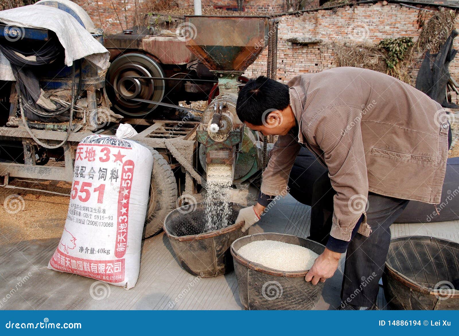 Pengzhou, China: Man Husking Rice Grains Editorial Stock Image - Image ...