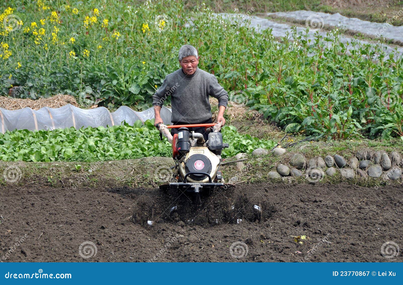 Pengzhou, China: Man Plowing Field Editorial Photography - Image of ...