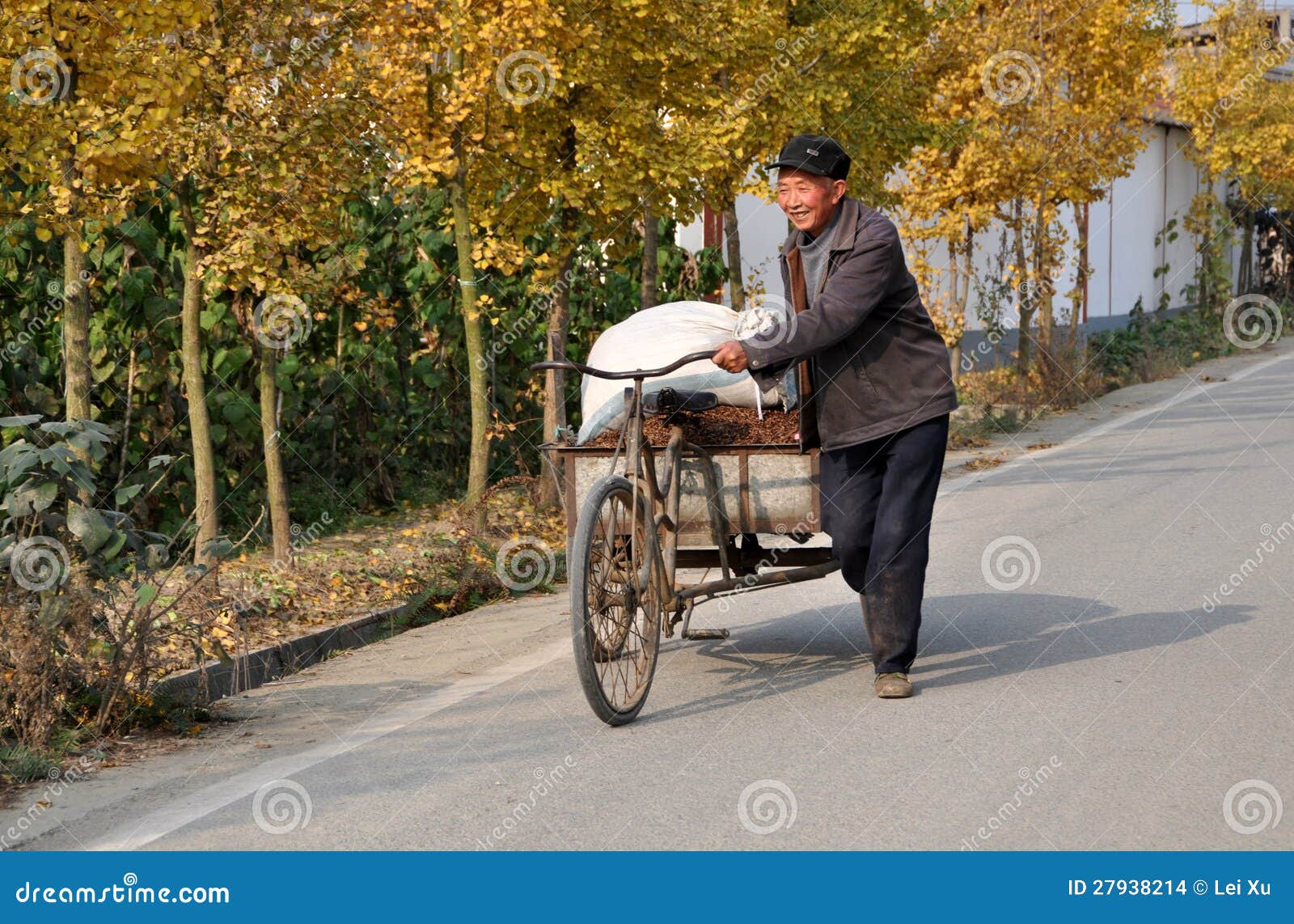 Pengzhou, China: Man Walking Bicycle Cart Editorial Stock Image - Image ...