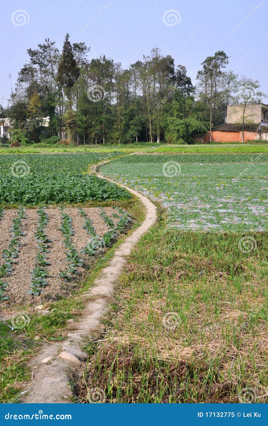 Pengzhou, China: Winding Farm Pathway Stock Image - Image of province ...
