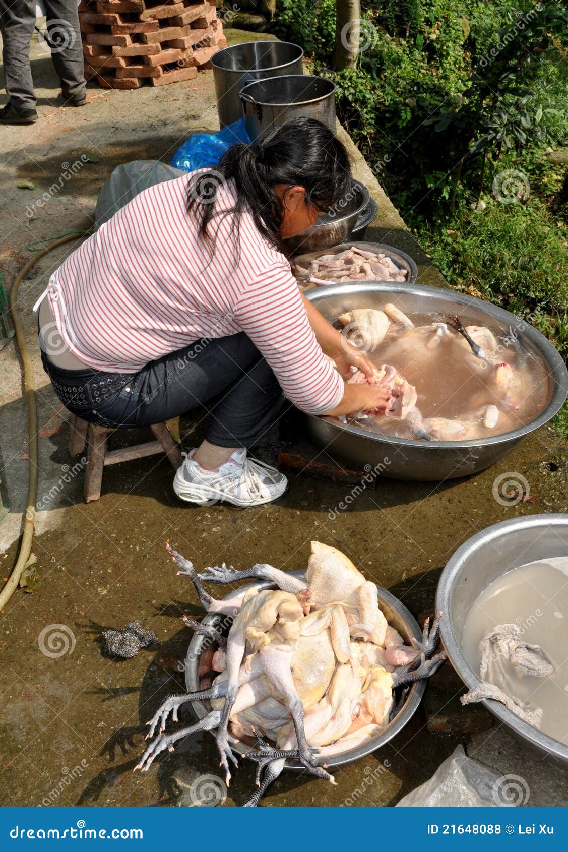 Pengzhou, China: Women Washing Ducks Editorial Stock Photo - Image of ...