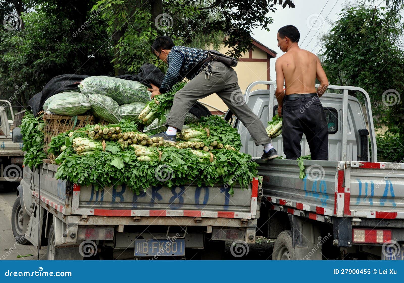 Pengzhou, China: Workers at Farmer S Market Editorial Image - Image of ...