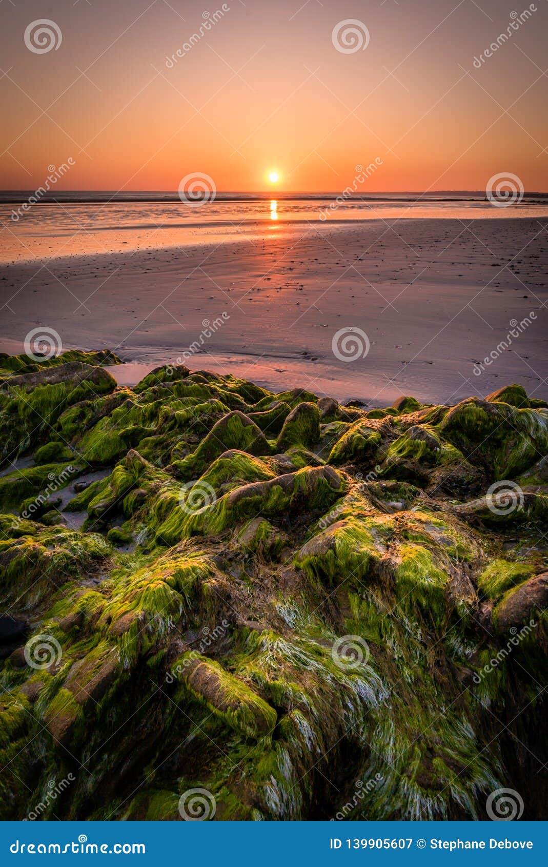 Penhors Beach at Sunset, Rocks and Algae and Pinkish Mood Stock Image ...