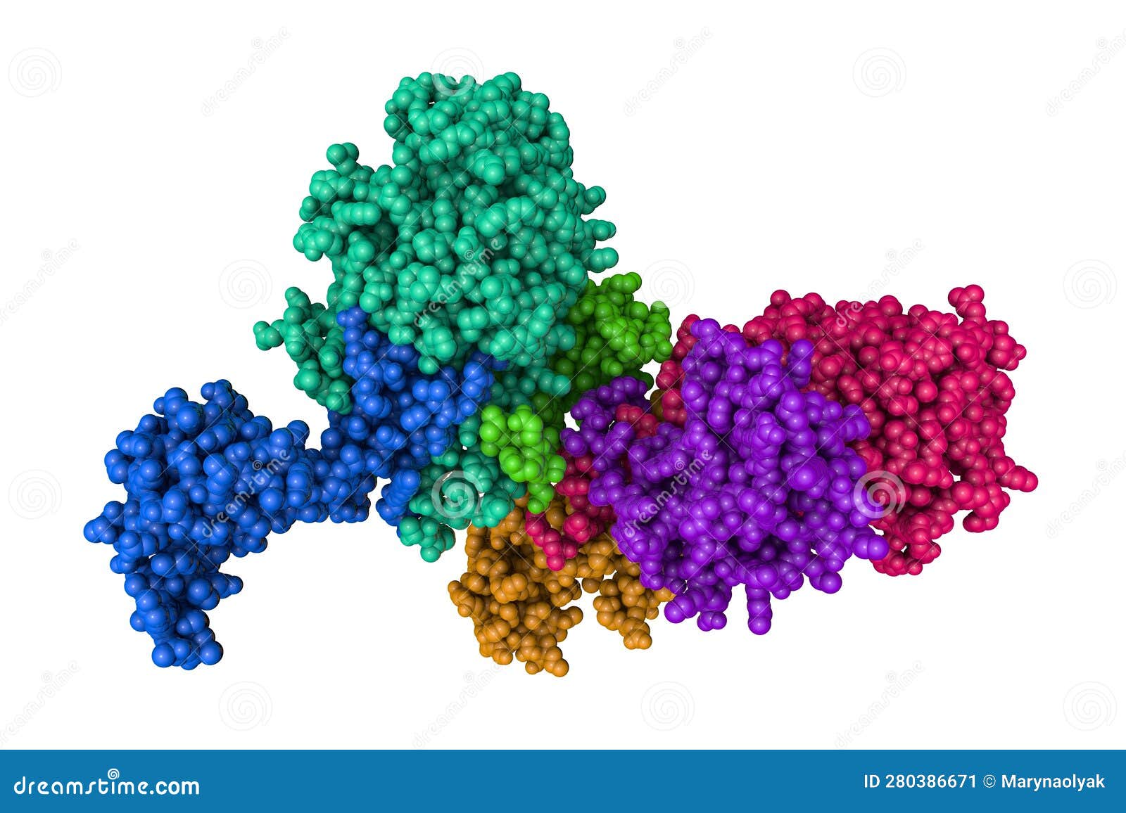 Penicillin-binding Protein 1A Acyl-enzyme Complex. Rendering With Differently Colored Protein ...