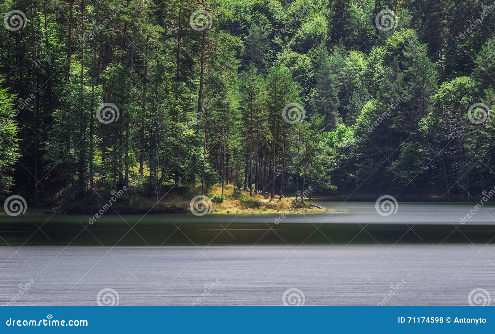 Peninsula forest in lake stock photo. Image of path, landscape - 71174598