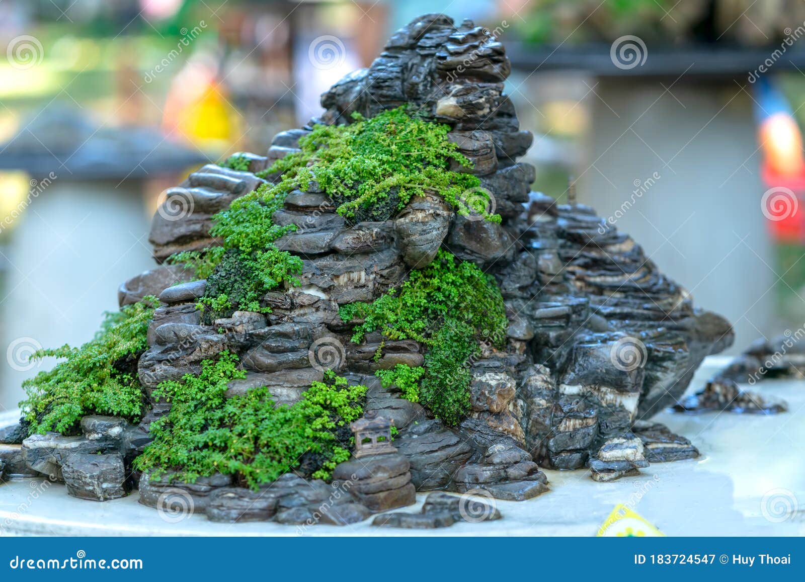 Penjing Miniature in a Tray Stock Image - Image of model, ornamental ...