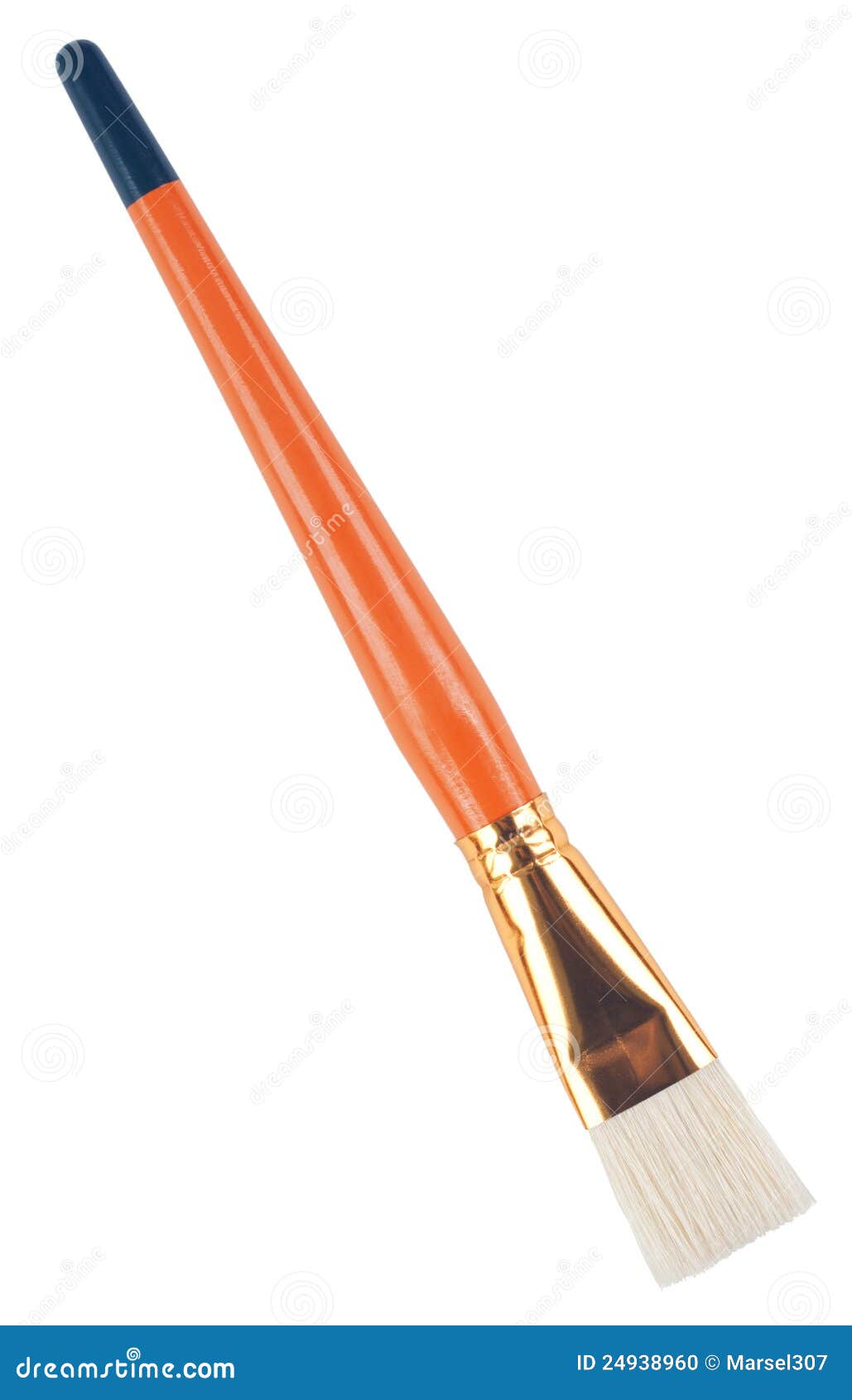 Pennello fotografia stock. Immagine di morbido, spazzola - 24938960