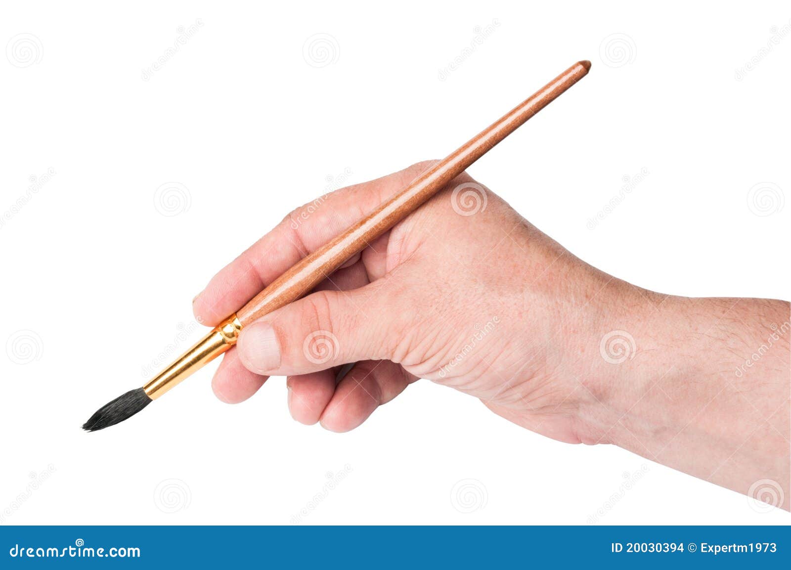 Pennello Della Holding Della Mano Fotografia Stock - Immagine di ...