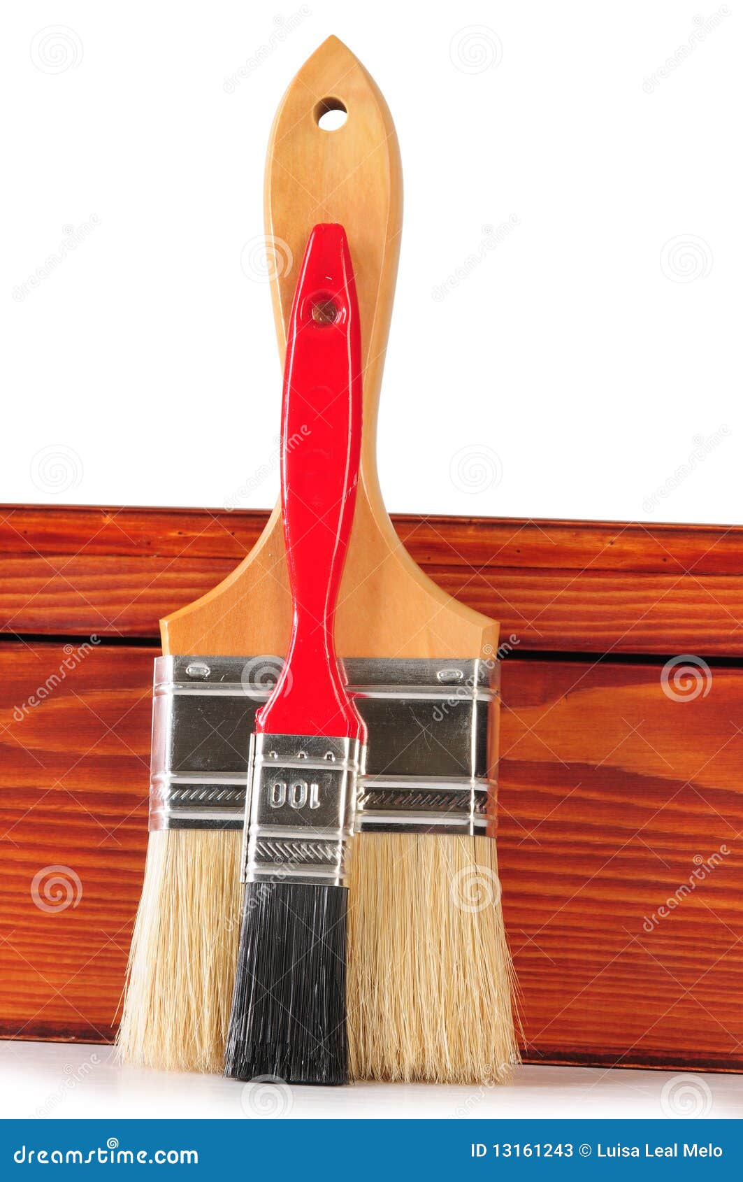 Pennello. Isolato immagine stock. Immagine di vernice - 13161243