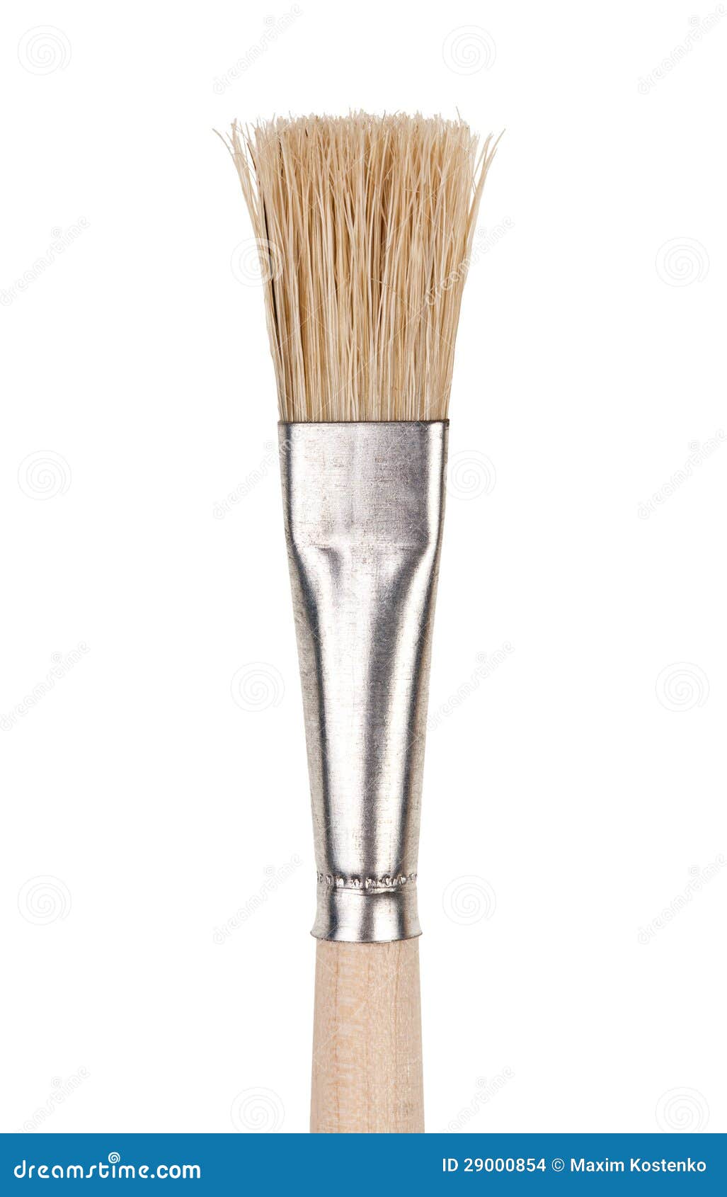 Pennello isolato fotografia stock. Immagine di spazzola - 29000854