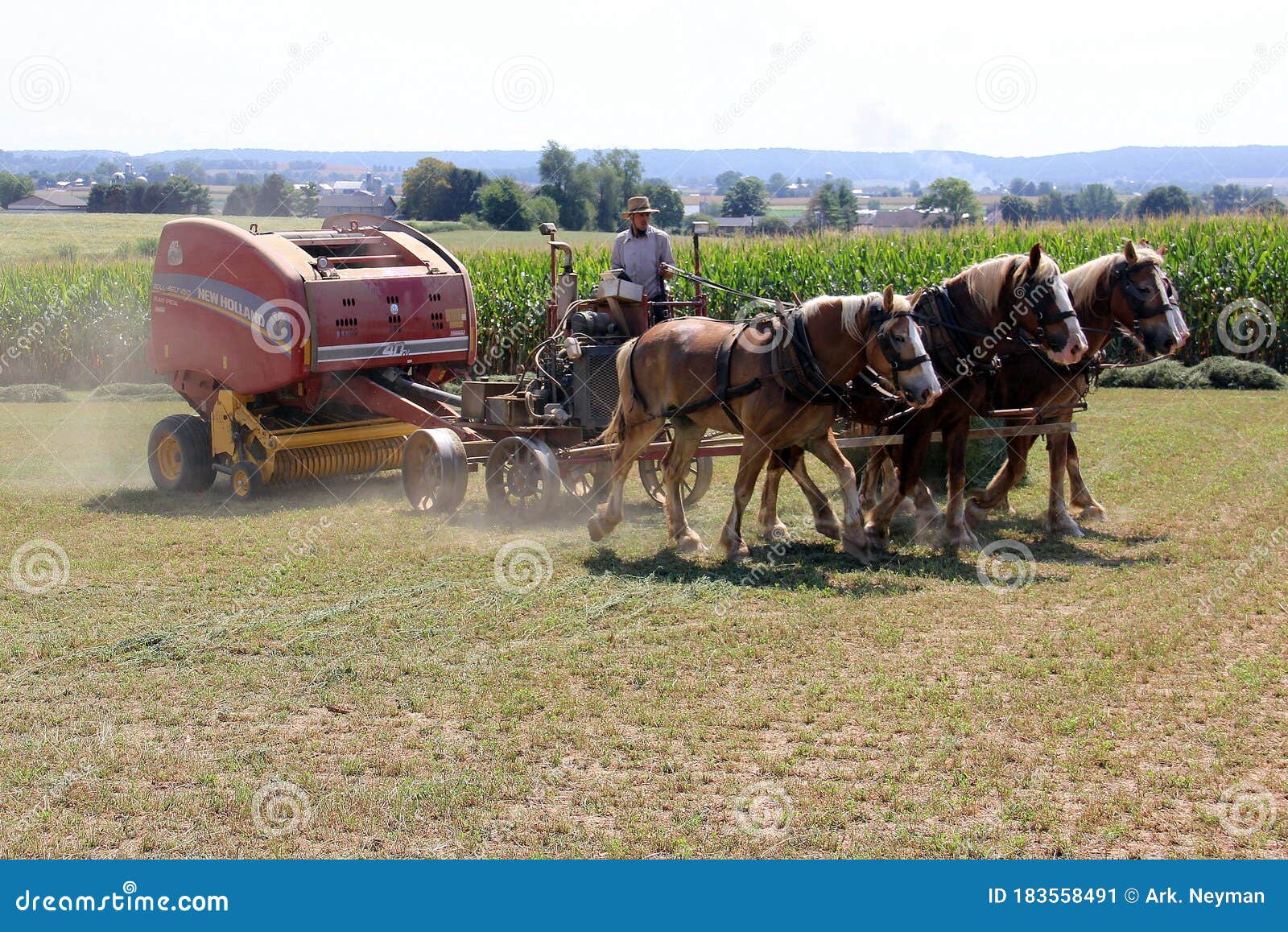 Farmer, Wearing a Straw Hat, Drives a Horse-drawn Baler in the Field ... Farmer, Wearing a Straw Hat, Drives a Horse-drawn Baler in the Field ...