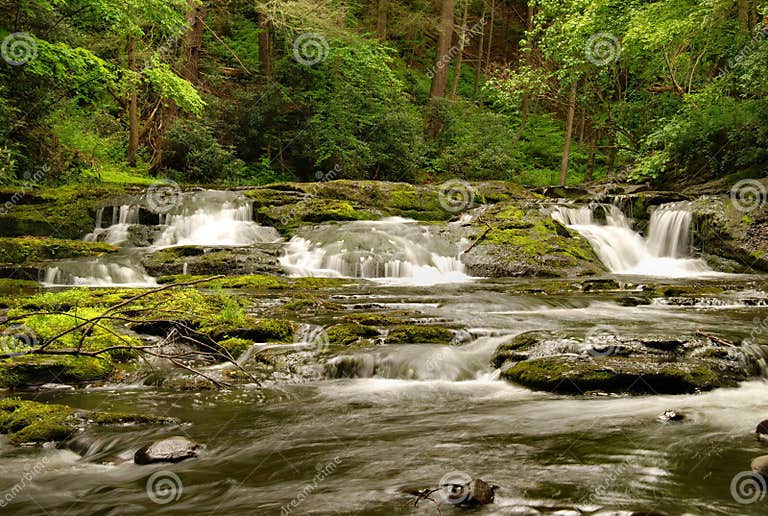 Pennsylvania Forest Stream stock photo. Image of water - 9600380