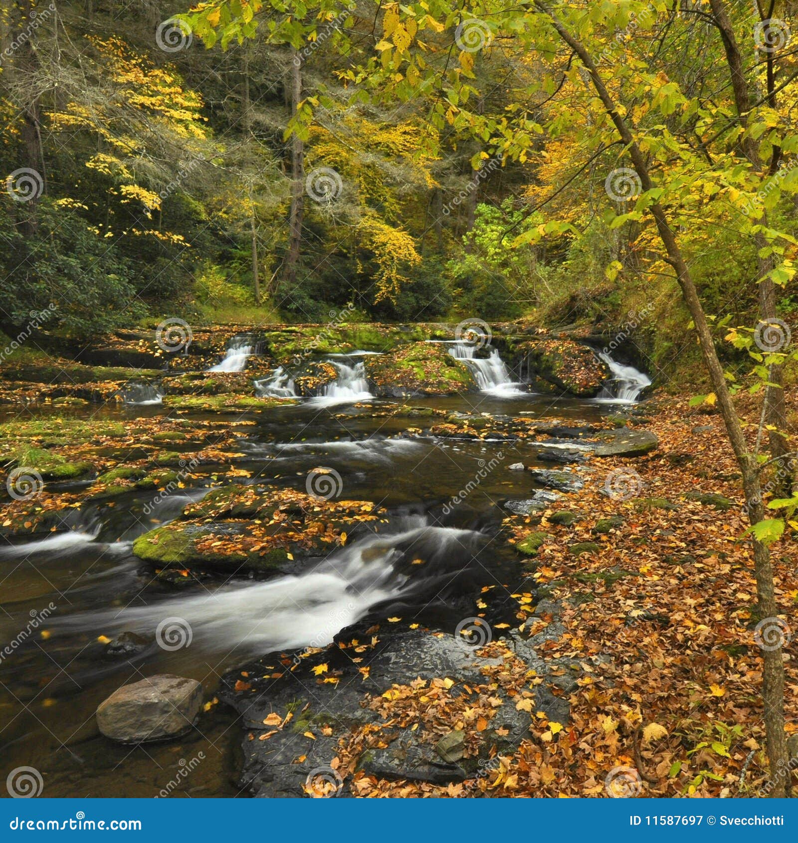 Pennsylvania Stream in Autumn Stock Image - Image of states, color ...