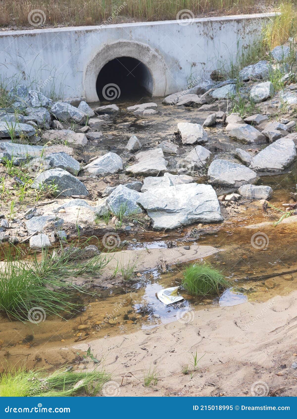 Pennywises Home in the Forest with Water Stock Image - Image of ...