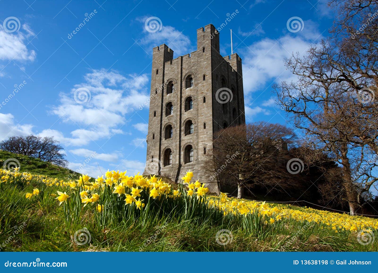 Penrhyn Castle stock photo. Image of daffodils, bangor - 13638198