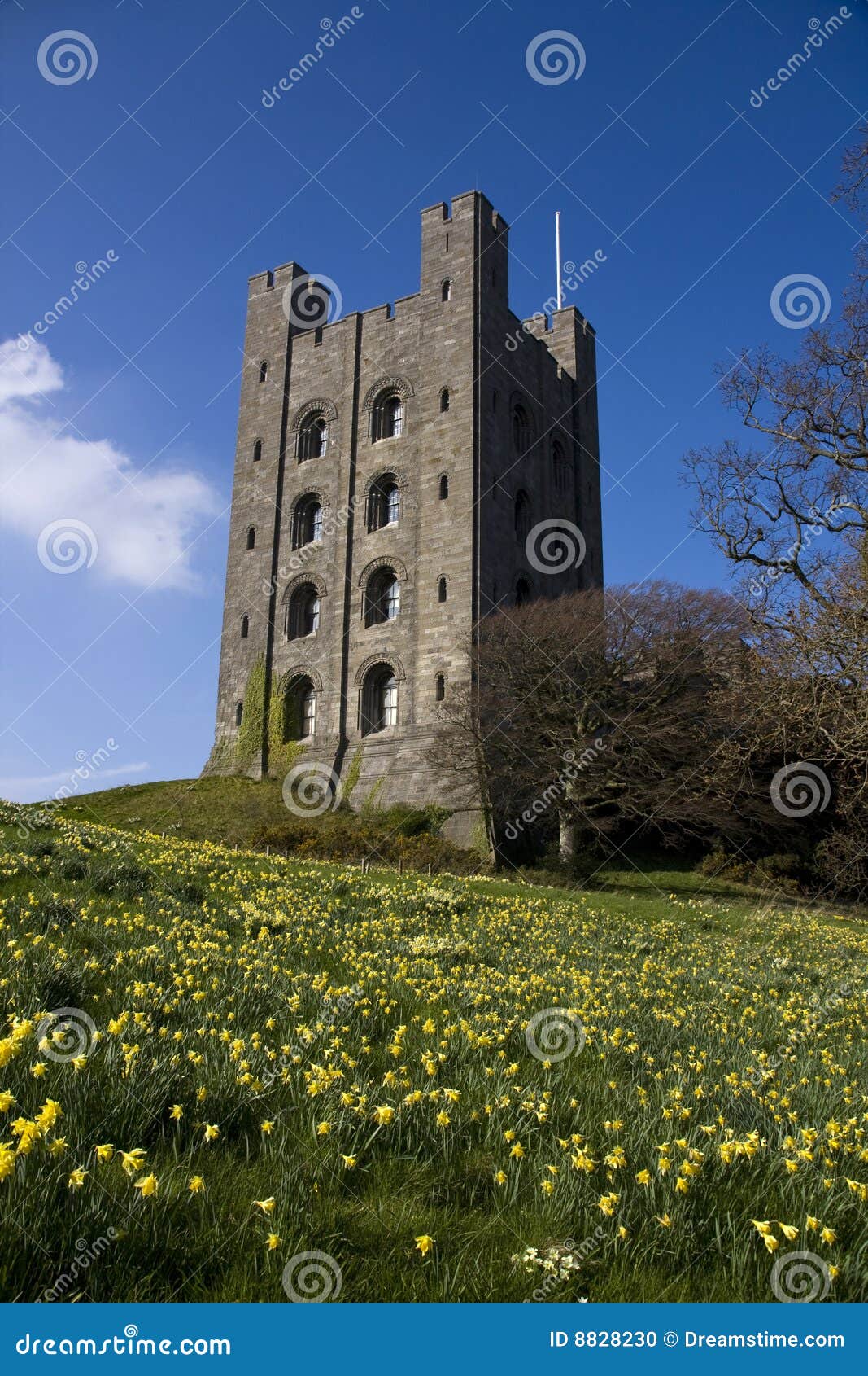 Penrhyn Castle stock photo. Image of century, spring, fantasy - 8828230