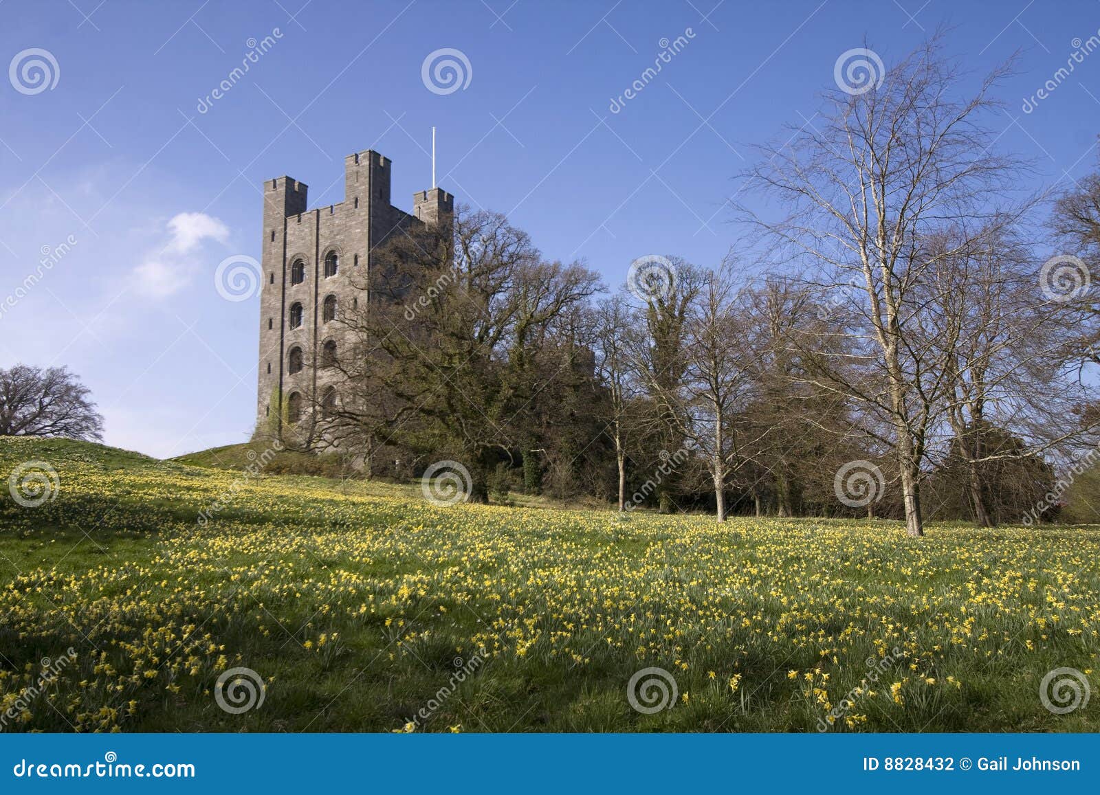 Penrhyn Castle stock photo. Image of yellow, wales, trust - 8828432