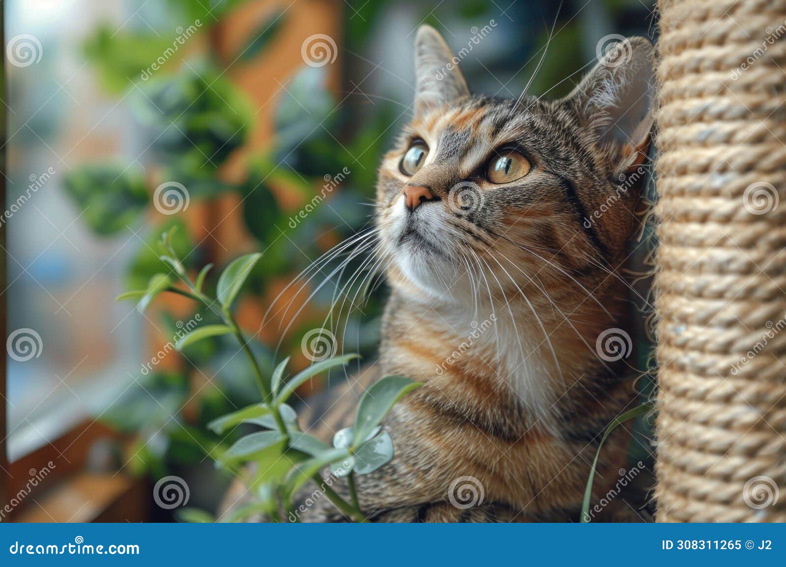 A Pensive Tabby Cat Surrounded by Indoor Plants. Stock Image - Image of ...