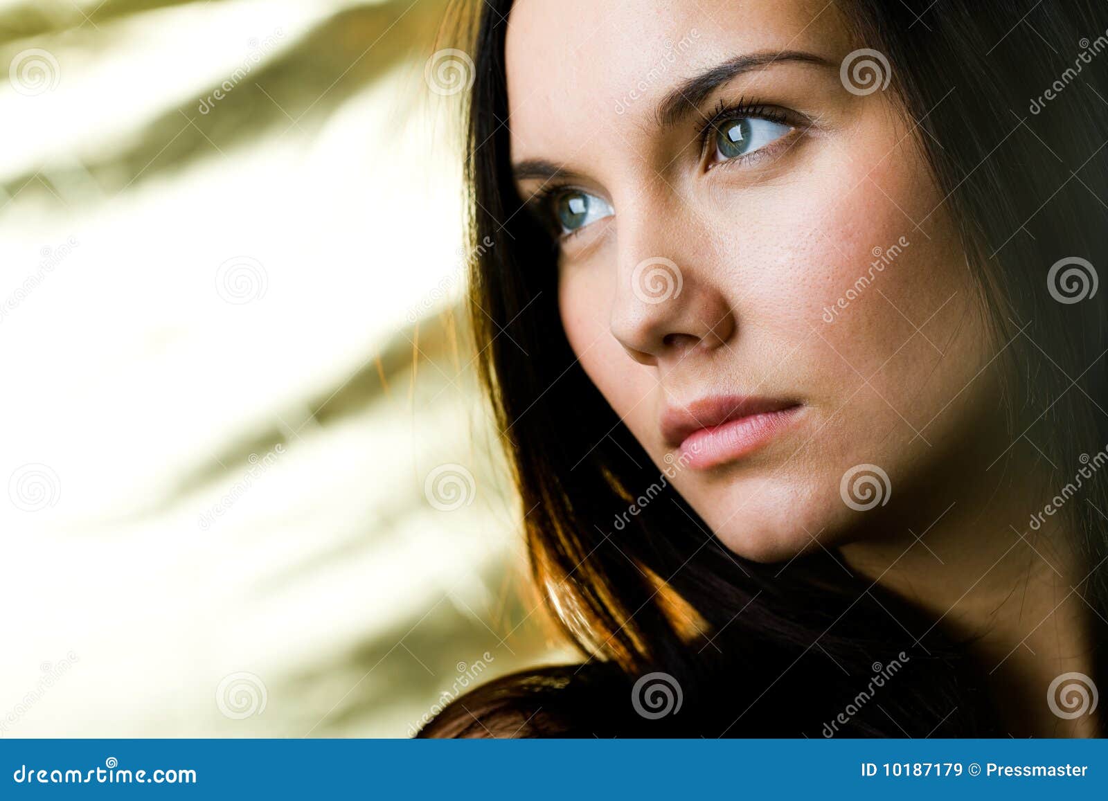 Pensiveness stock image. Image of alone, glamorous, charming - 10187179