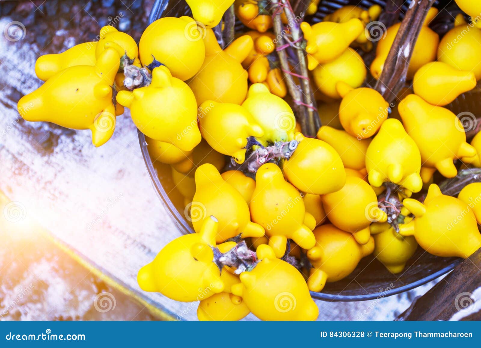 Yellow Pentagon Eggplants Stock Photos - Free & Royalty-Free Stock ...