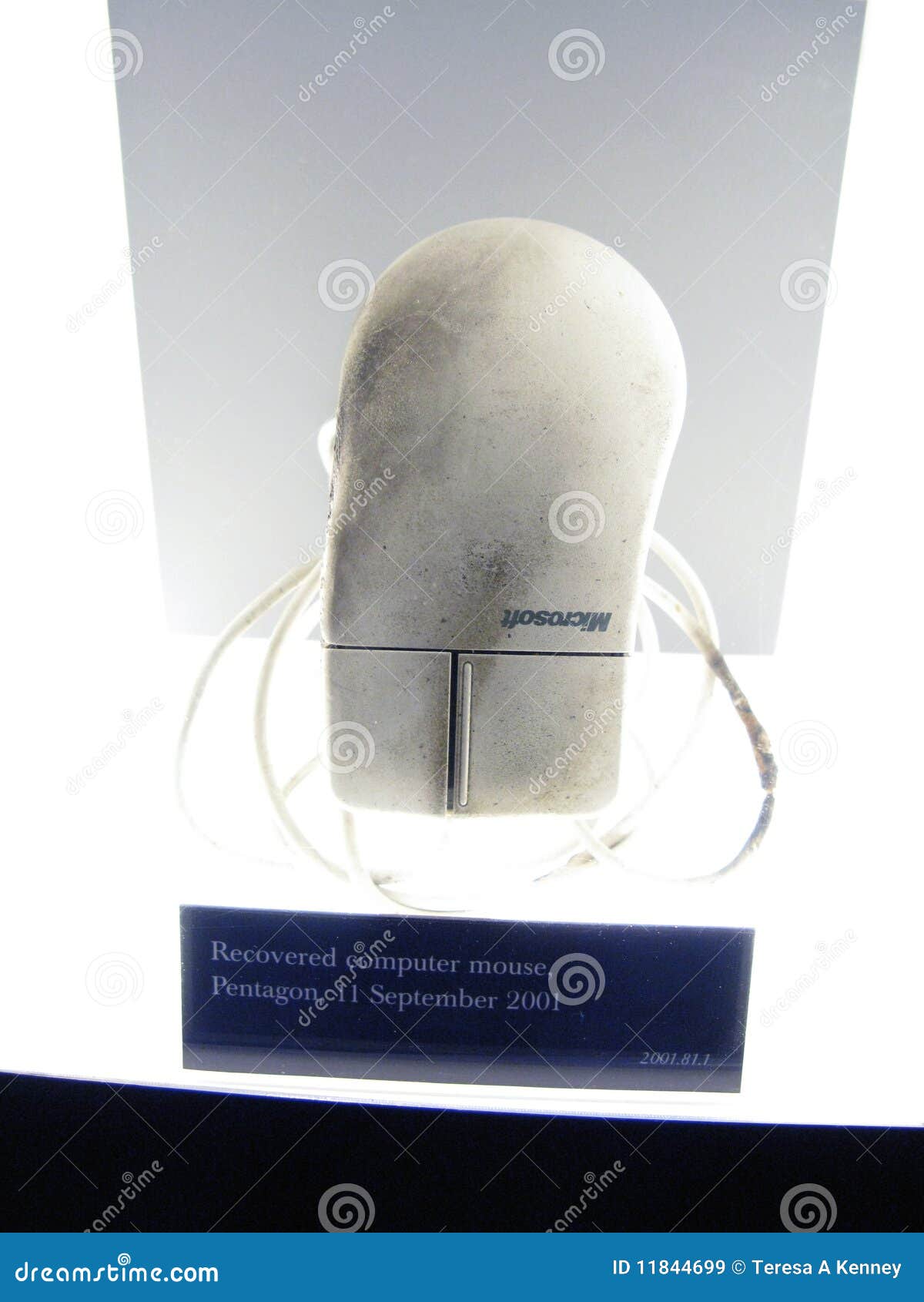 Pentagon Mouse, USMC Museum Editorial Stock Image - Image of virginia ...