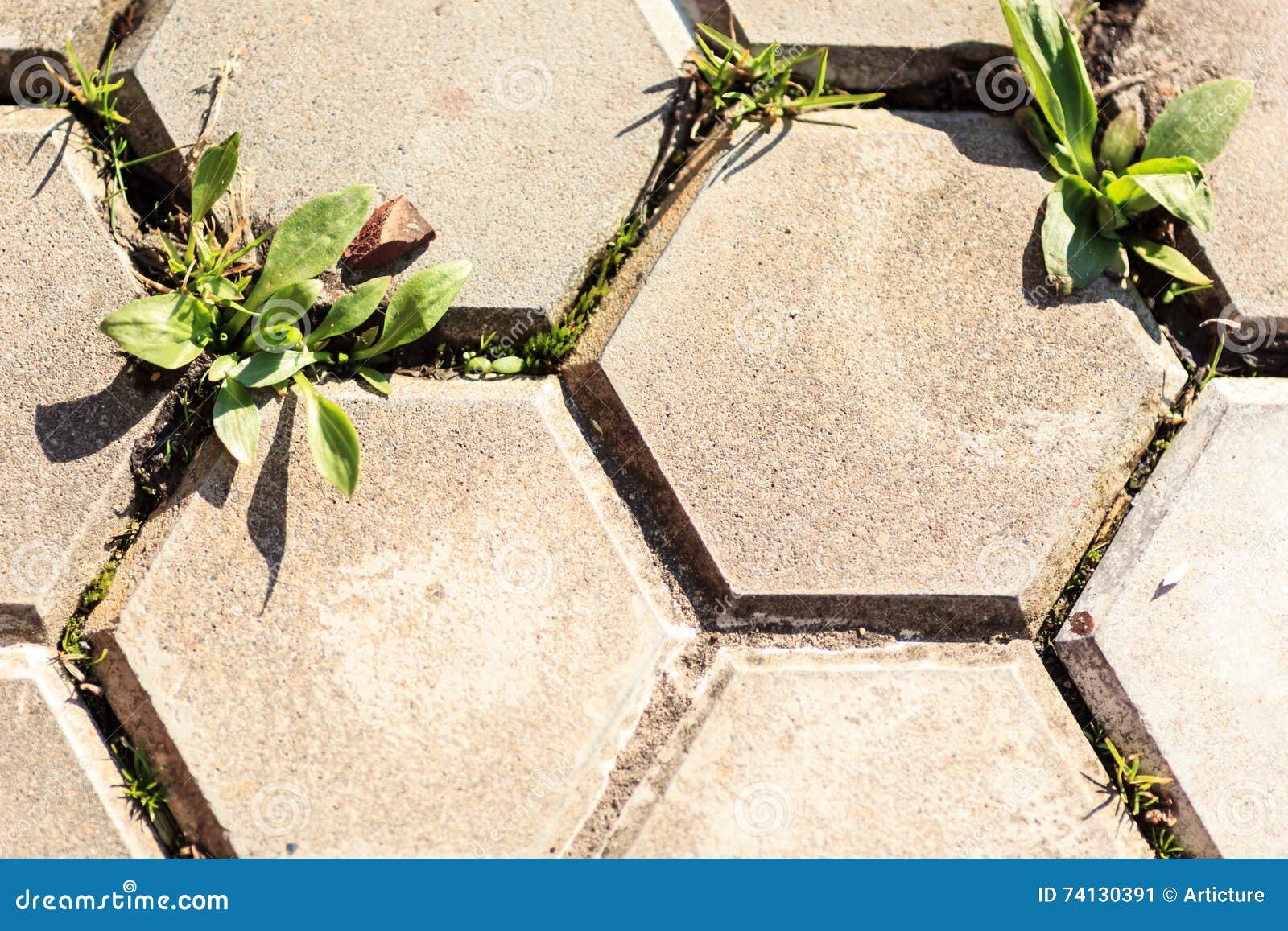 Pentagon tiles pavement stock image. Image of floor, causeway - 74130391