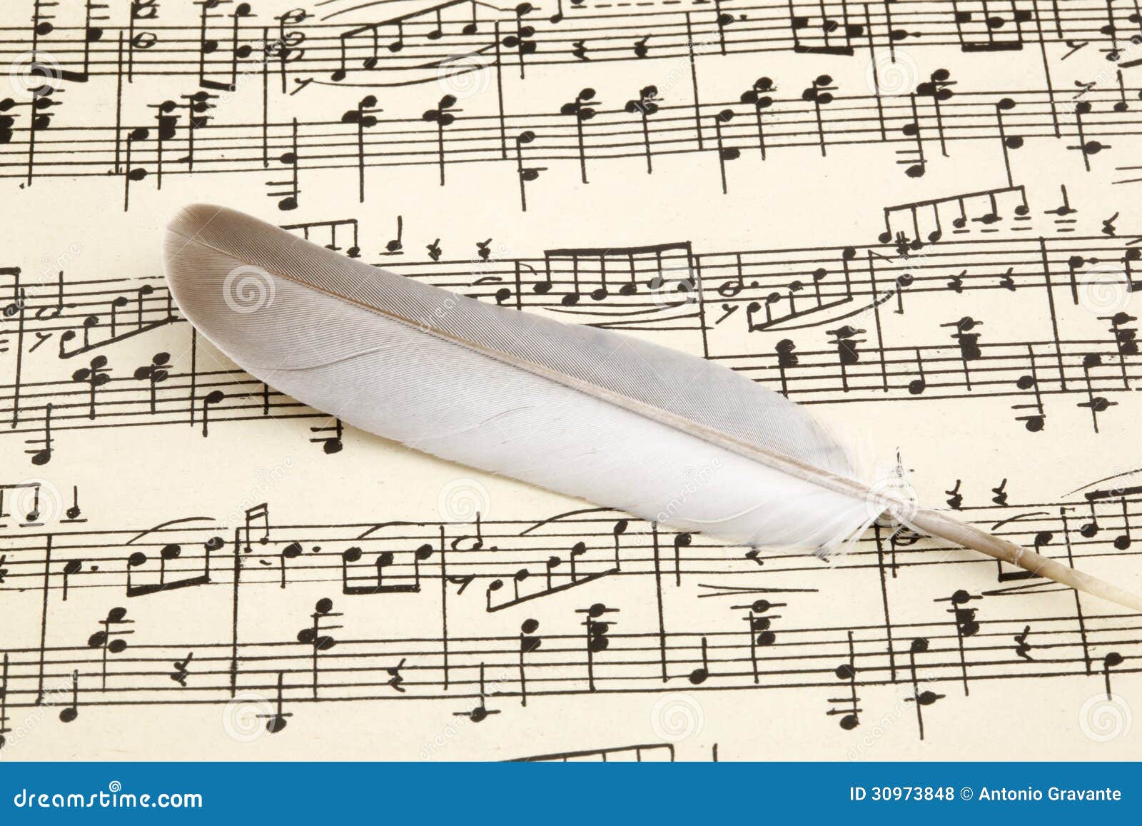 Pentagram and feather stock photo. Image of retro, note - 30973848