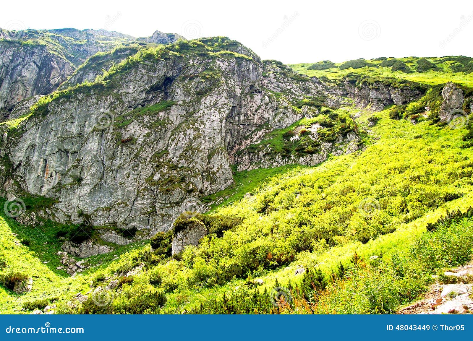 Pente De Montagne Rocheuse Couverte D'herbe Image stock - Image du ...