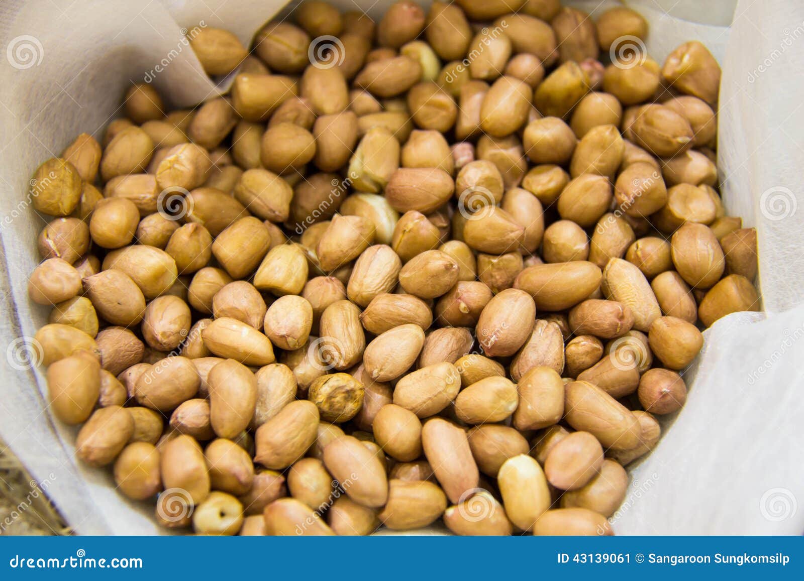Penut , groundnut stock image. Image of peanut, brown - 43139061