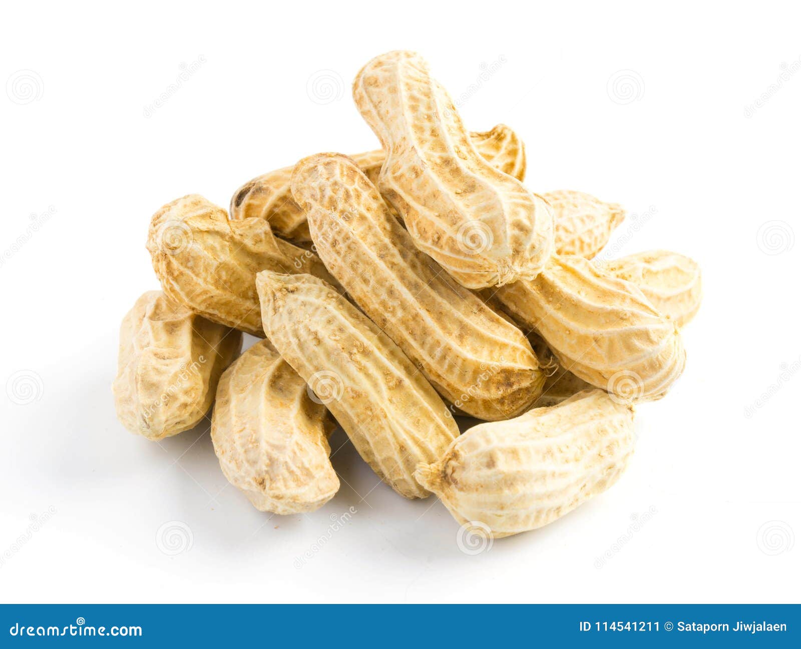 Penuts on a White Background Stock Image - Image of plant, fruit: 114541211