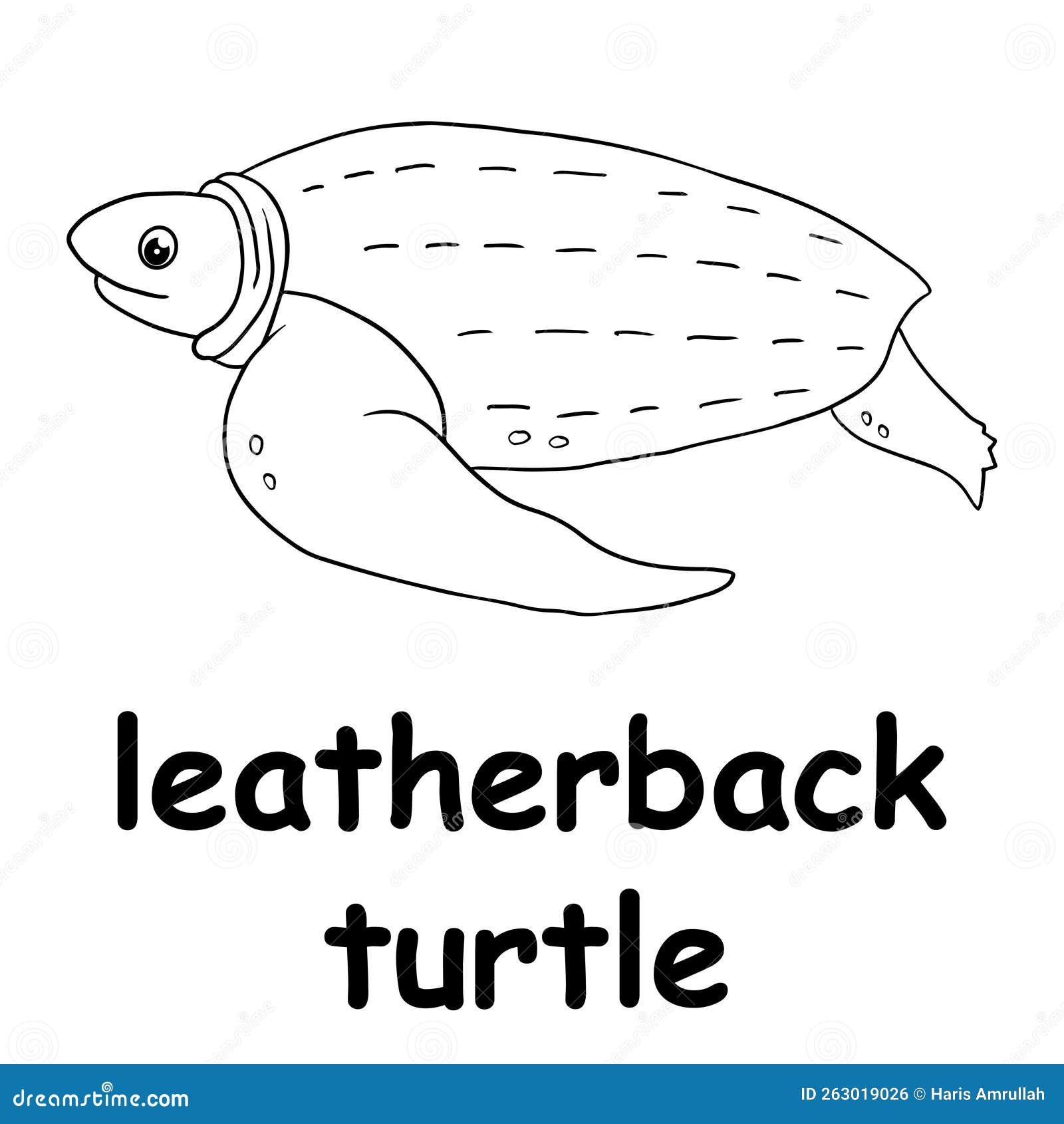 Leatherback Turtle Or Lute Turtle Stock Image | CartoonDealer.com #27633115
