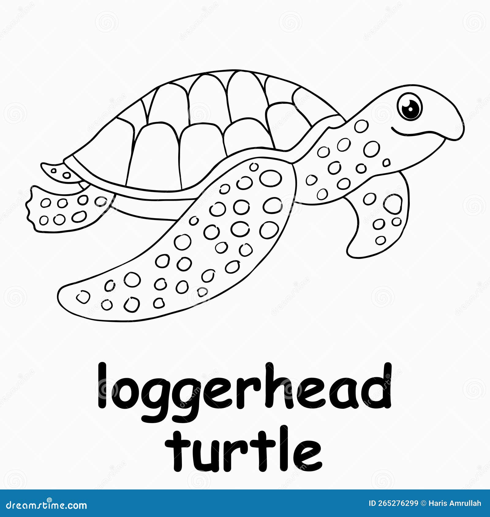 Kids Line Illustration Coloring Loggerhead Turtle. Outline Vector for ...