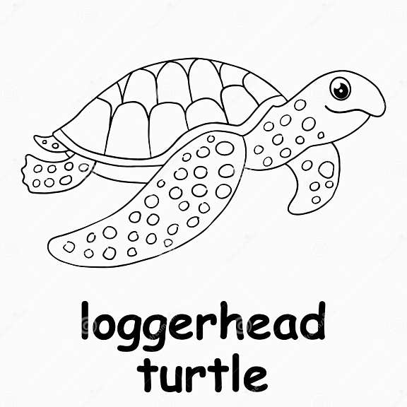 Kids Line Illustration Coloring Loggerhead Turtle. Outline Vector for ...