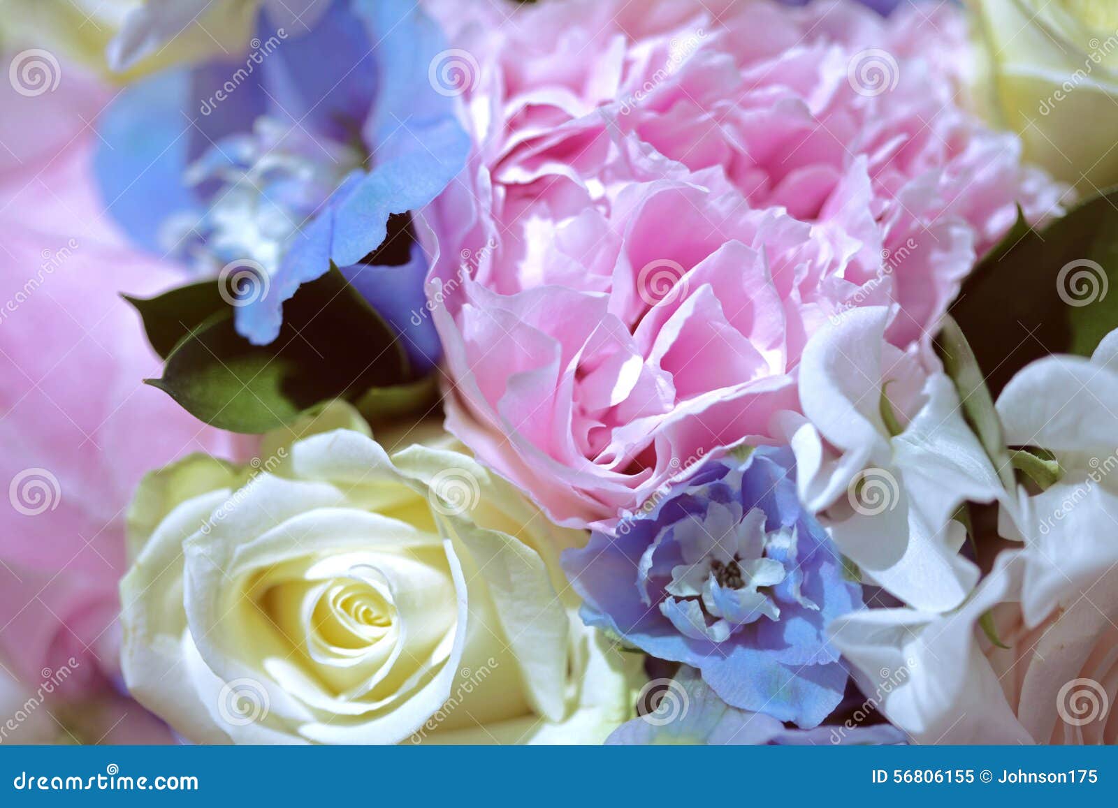 Peonía y Rose Bouquet imagen de archivo. Imagen de rosa - 56806155